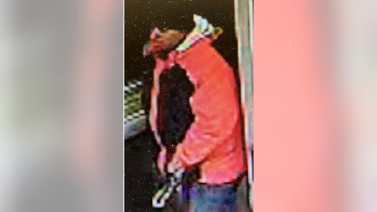 Suburban Man On The Run After Pointing Handgun At Gas Station Employee Police