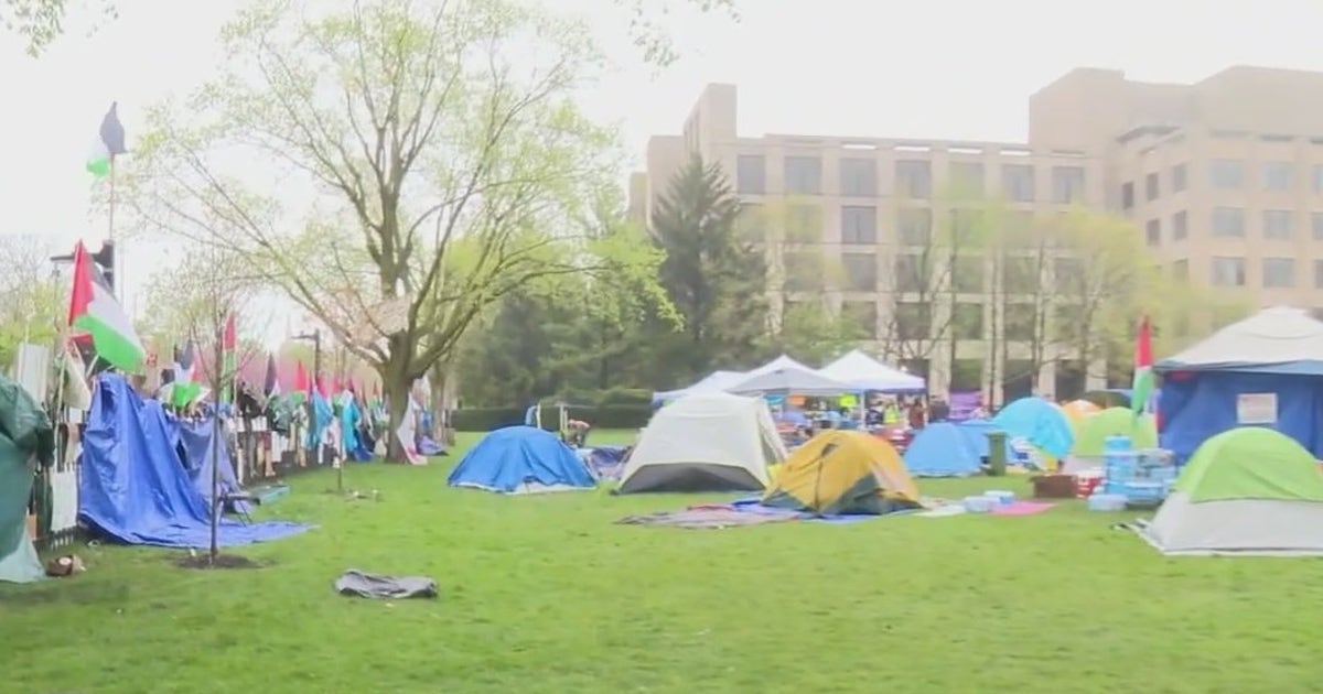 Northwestern University protests: Israel, Palestine supporters take to ...