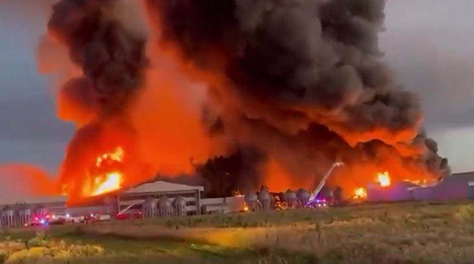 Illinois farm fire kills millions of chickens • Chicago Sky fined after ...