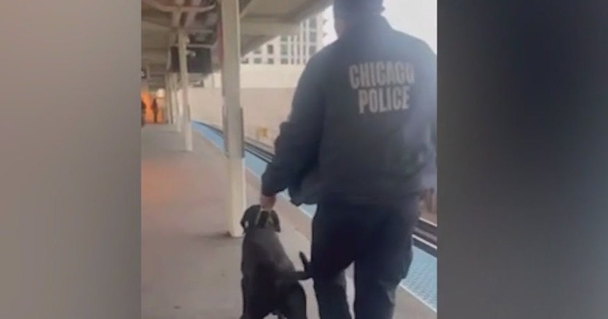 Heightened security on CTA Red Line after bomb threats at multiple ...