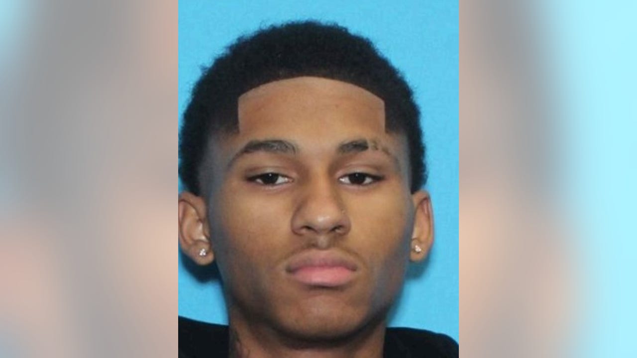 Missing 18-year-old found dead in Chicago's far south suburbs | FOX 32 ...