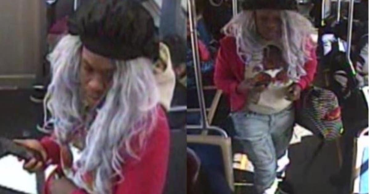 Chicago train robbery suspect struck victim, took her cellphone, police ...