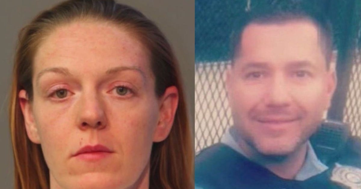 Ex-Chicago police officer pleads guilty in husband's shooting death ...