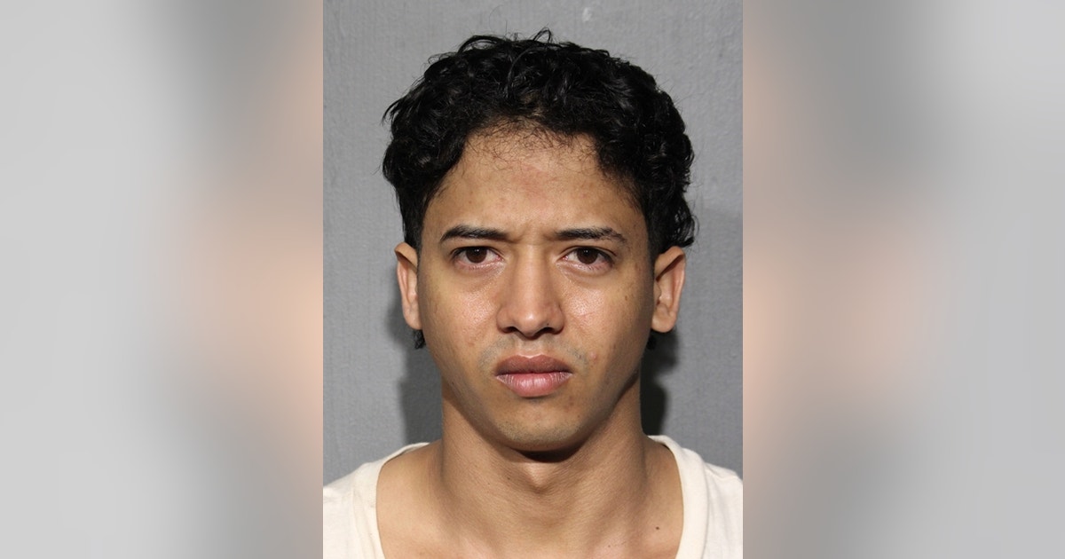 Chicago man charged with murder in 2024 shooting | FOX 32 Chicago