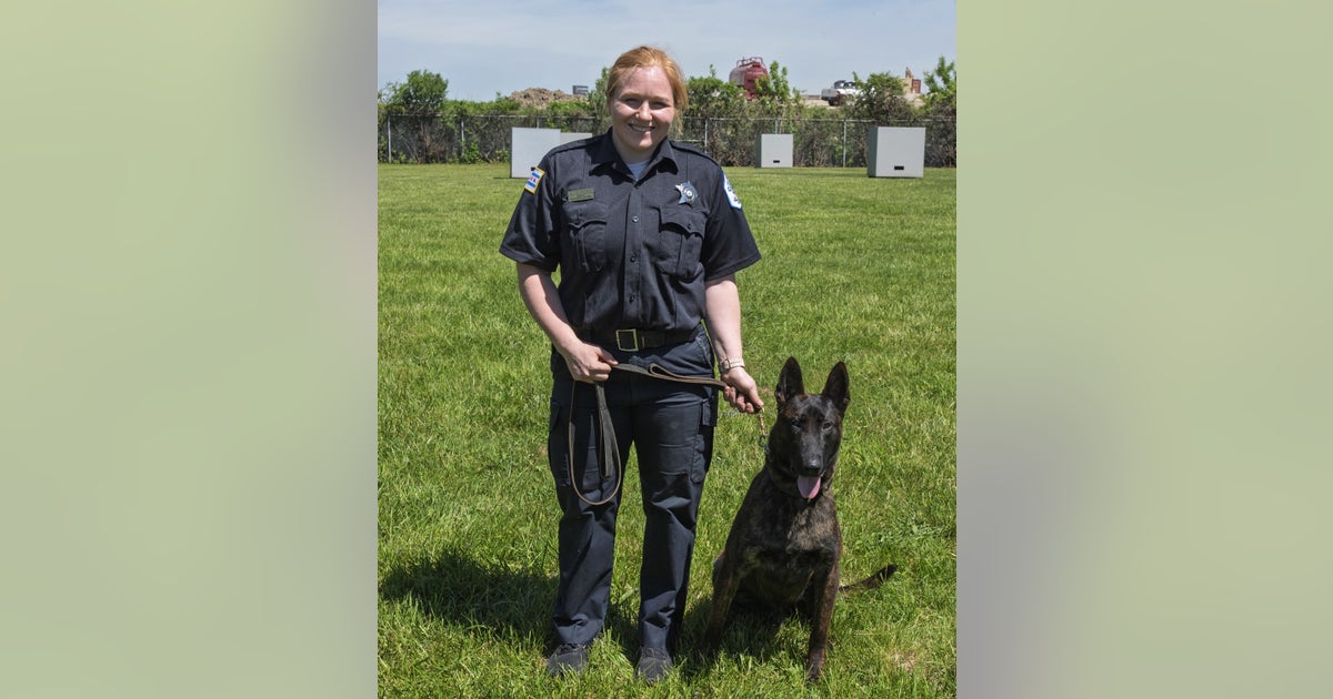 Chicago police K9 receives lifesaving vest from national nonprofit ...