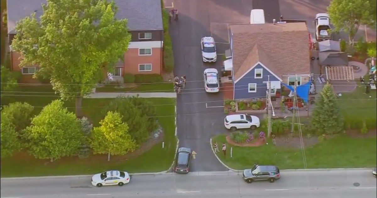 Cook County deputy shoots suspect to stop stabbing during domestic call ...