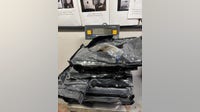 Feds seize 72 pounds of marijuana hashish at O’Hare Airport
