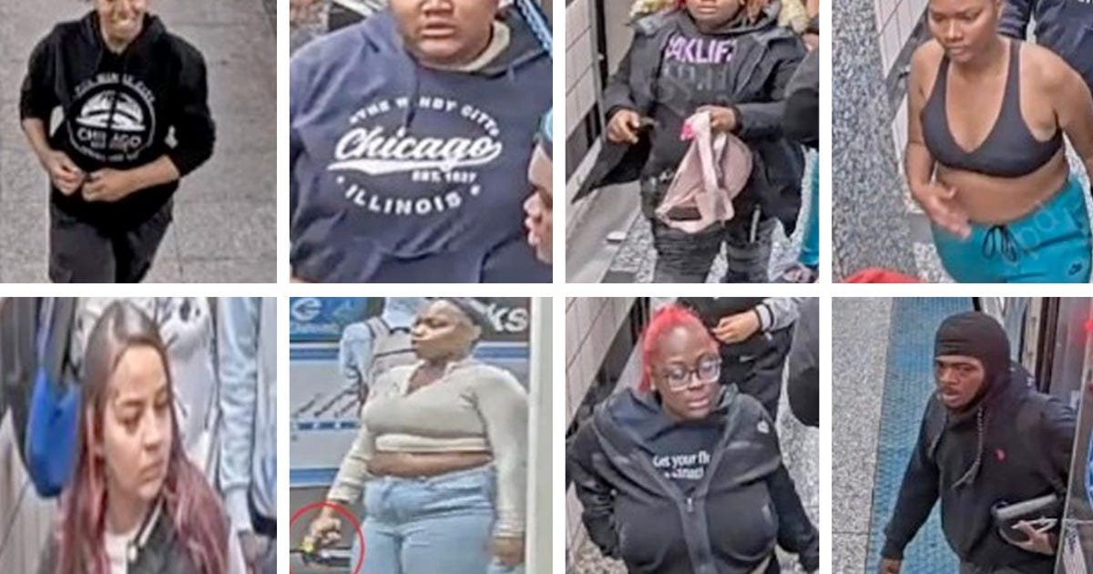 Group of 8 attacks, robs passengers on downtown Chicago CTA platform ...