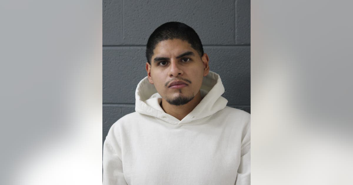 Suburban Chicago man charged with stabbing 73-year-old uncle to death ...