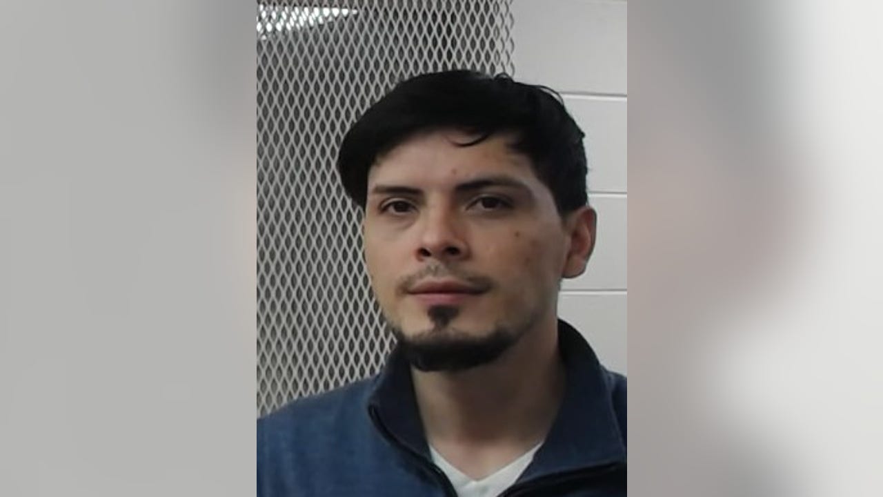 'Porch pirate' busted for stealing package from suburban Chicago home ...