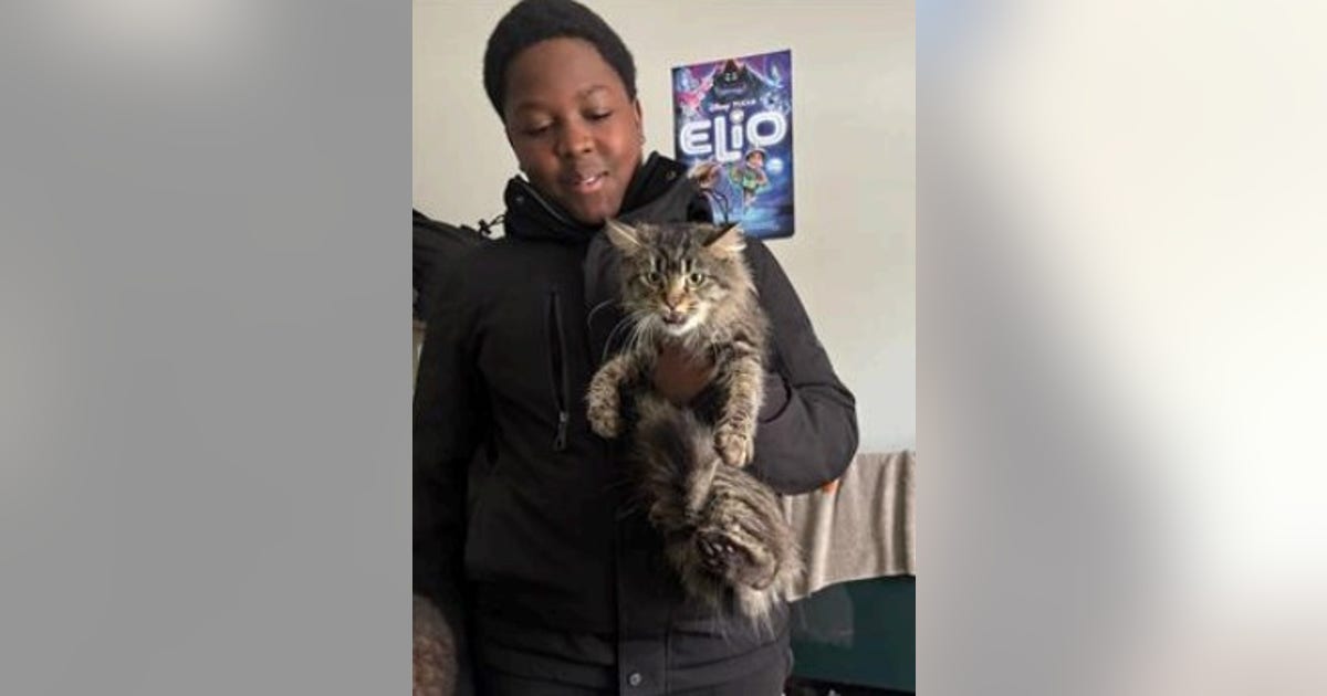 Chicago police seek help locating missing 12-year-old boy | FOX 32 Chicago