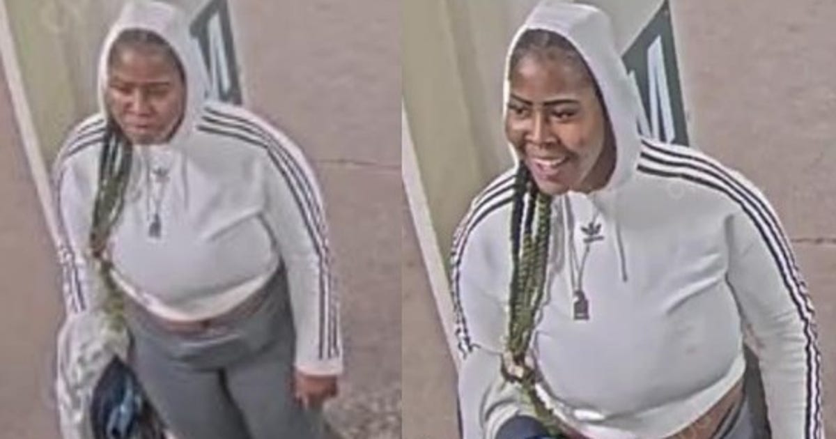 Woman accused of robbing, attacking CTA Red Line passenger sought by ...