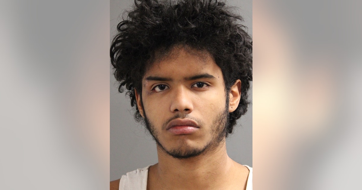 Chicago man, teen arrested 30 minutes after armed carjacking | FOX 32 ...