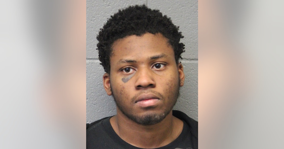 Chicago man charged months after Red Line robbery, police say | FOX 32 ...