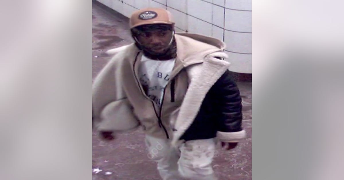 Chicago CTA rider punched and robbed, police seek help identifying ...