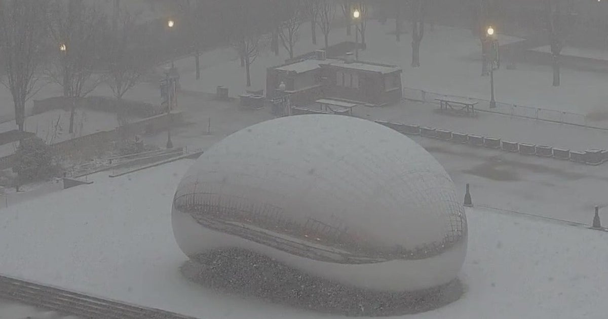 Chicago area hit with snow squalls during morning rush: 'Blowing ...