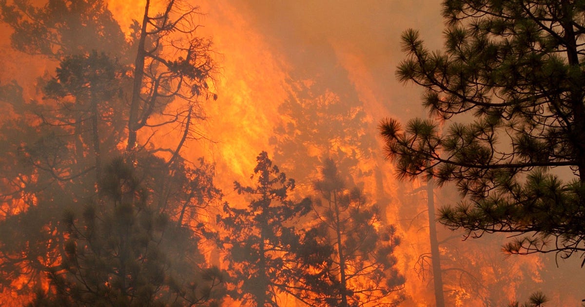 Daytona Beach fire updates: Evacuations, wildfire map, news updates ...