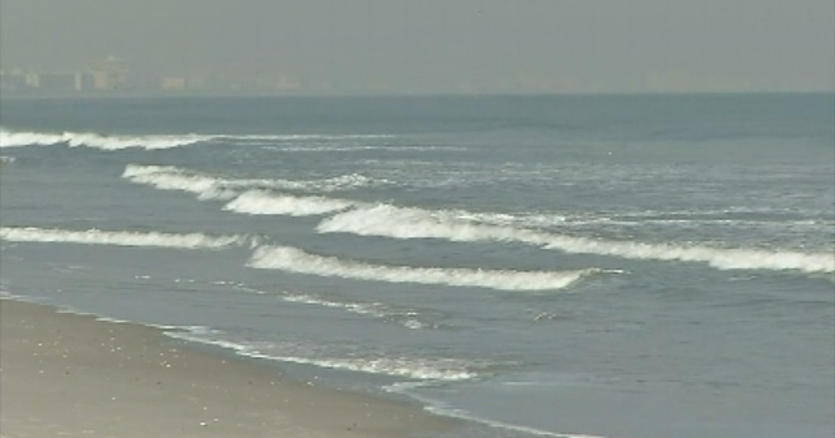 Shark bites surfer in Melbourne Beach causing deep lacerations on arm ...