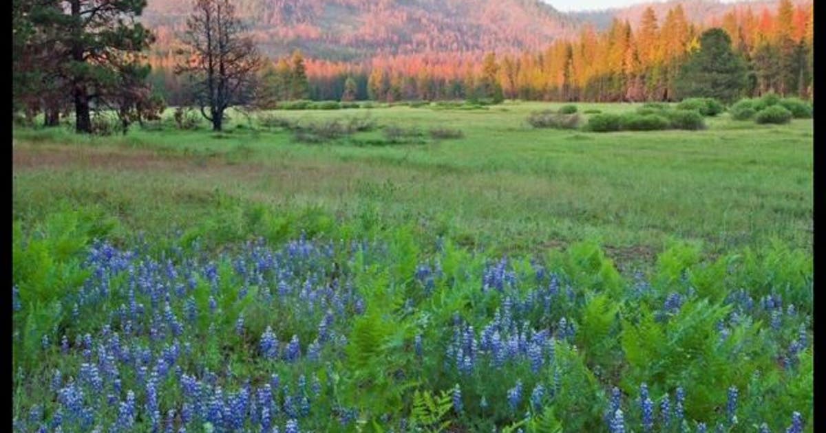Yosemite National Park adds 400 acres, its first expansion in 70 years ...
