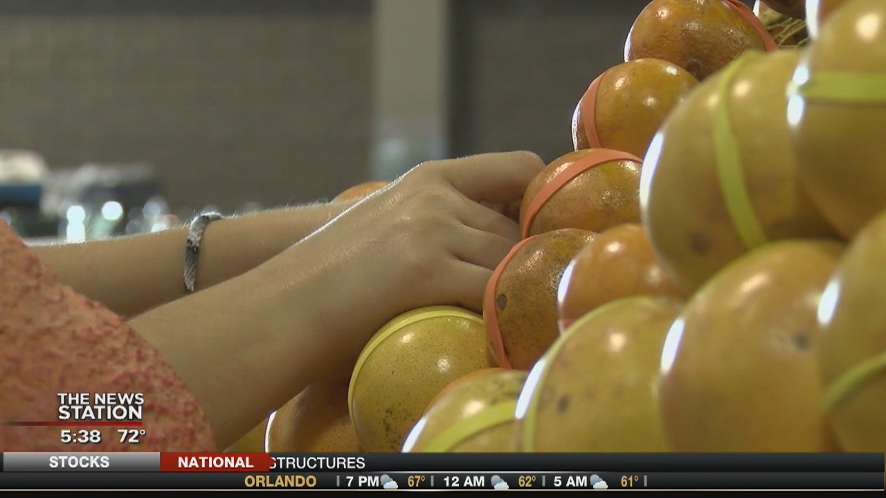 Volunteers build Florida Citrus Parade floats using tens of thousands ...