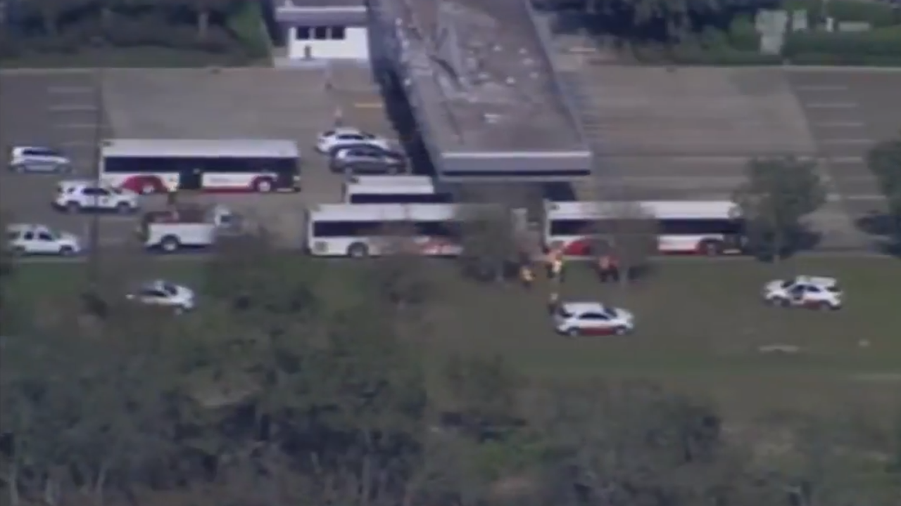 Disney bus crashes into another bus, 14 passengers have minor injuries ...