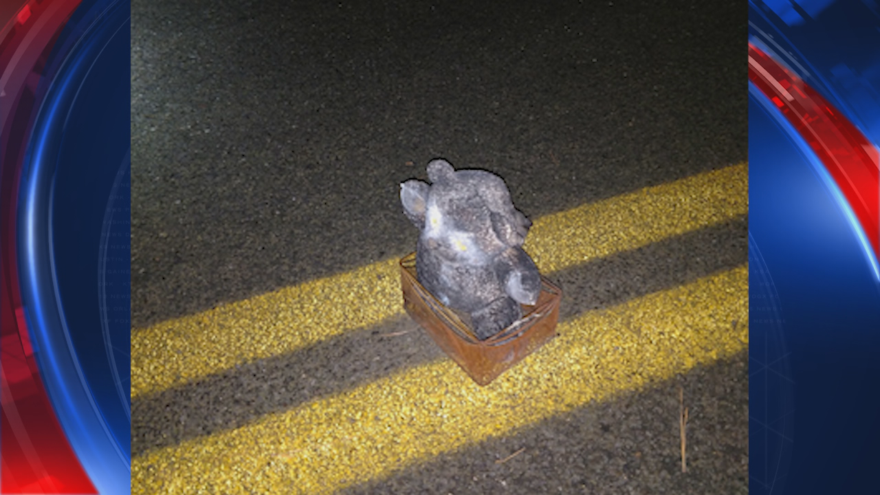 FBI releases photos of South Carolina teddy bear bomb | FOX 35 Orlando