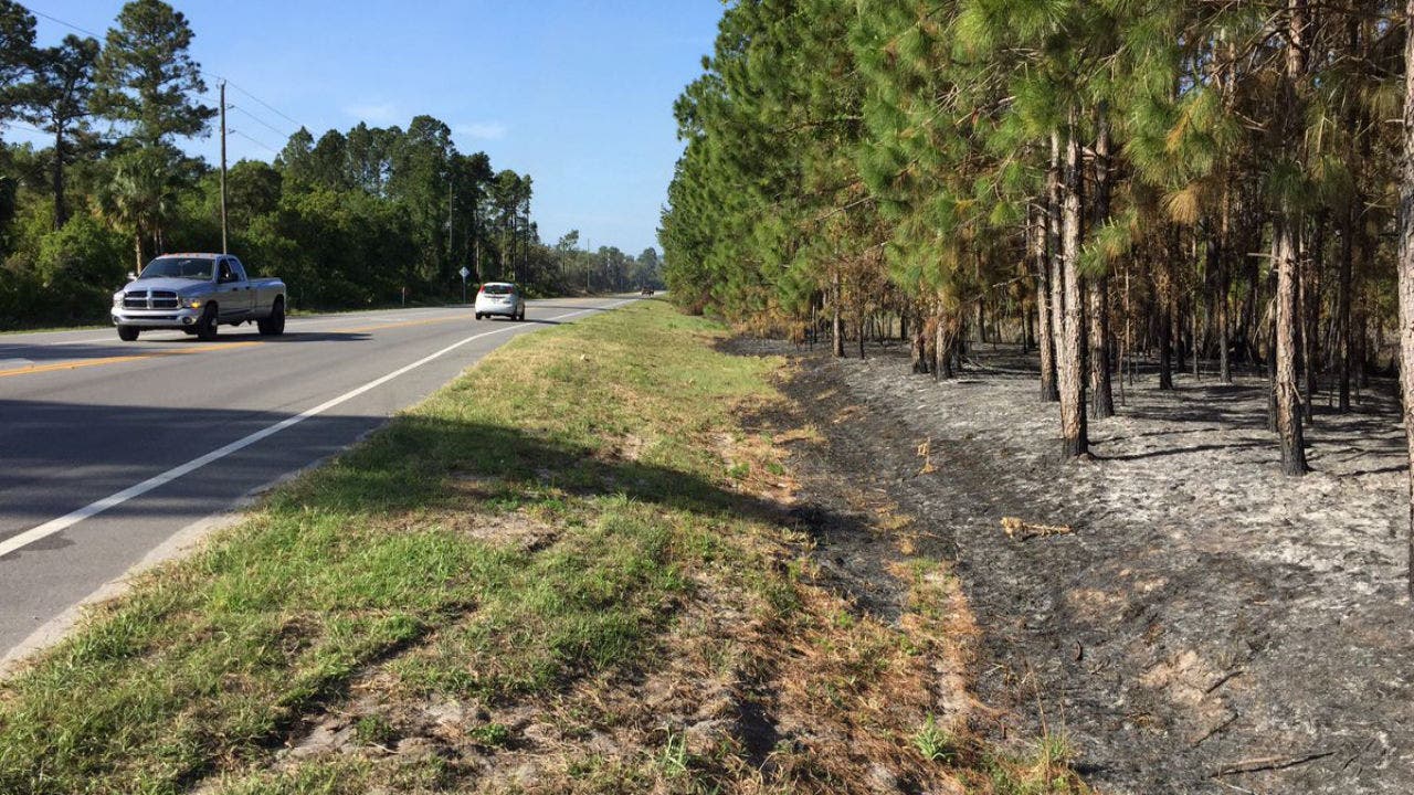 Wildfires continue to flare up in Lake County | FOX 35 Orlando