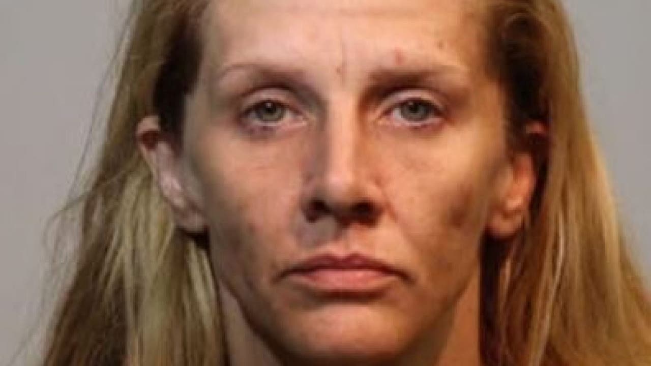 Florida woman who burned 3,500-year-old tree while smoking meth ...
