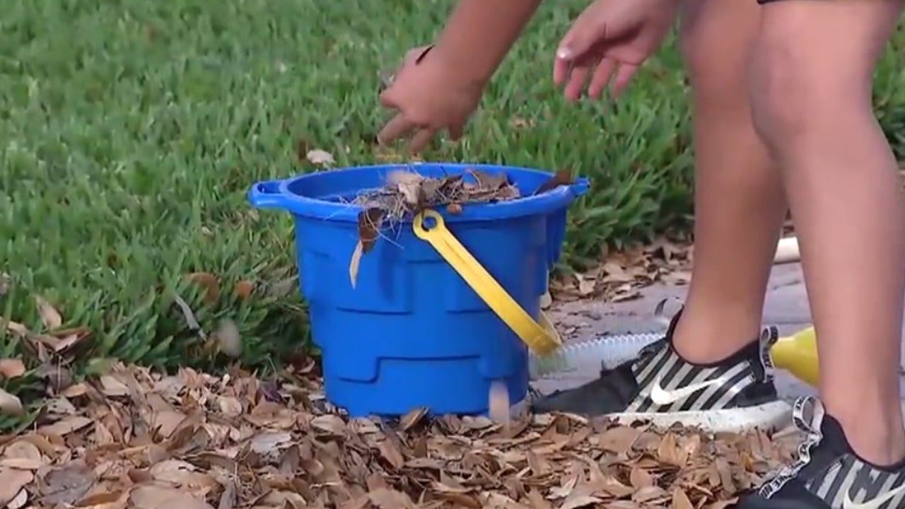 'Busy Kid' app helps motivate children to get chores done while earning ...