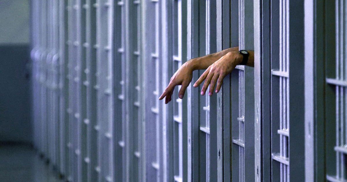 Florida Man 2022: The bizarre arrests made this year by law enforcement ...
