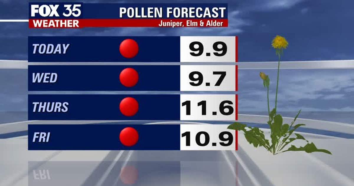 Are you sneezing? Pollen count high in Central Florida this week | FOX ...