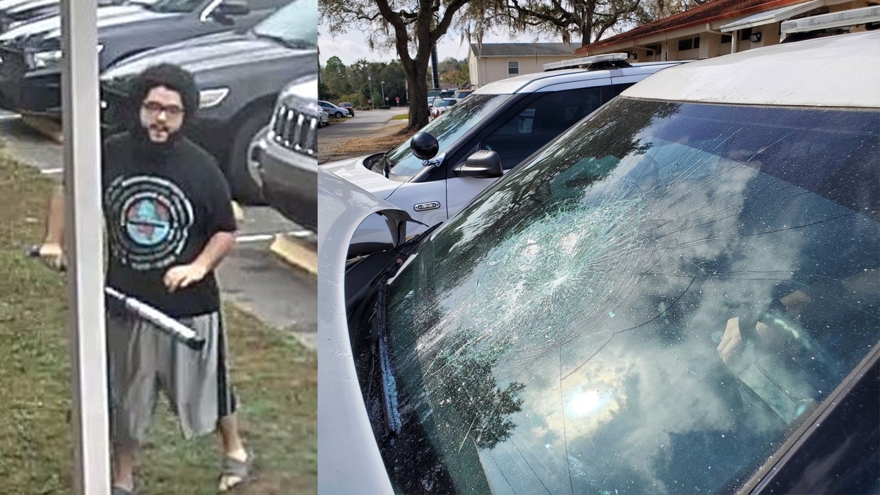 Deputies: Man arrested after beating patrol cars with baseball bat