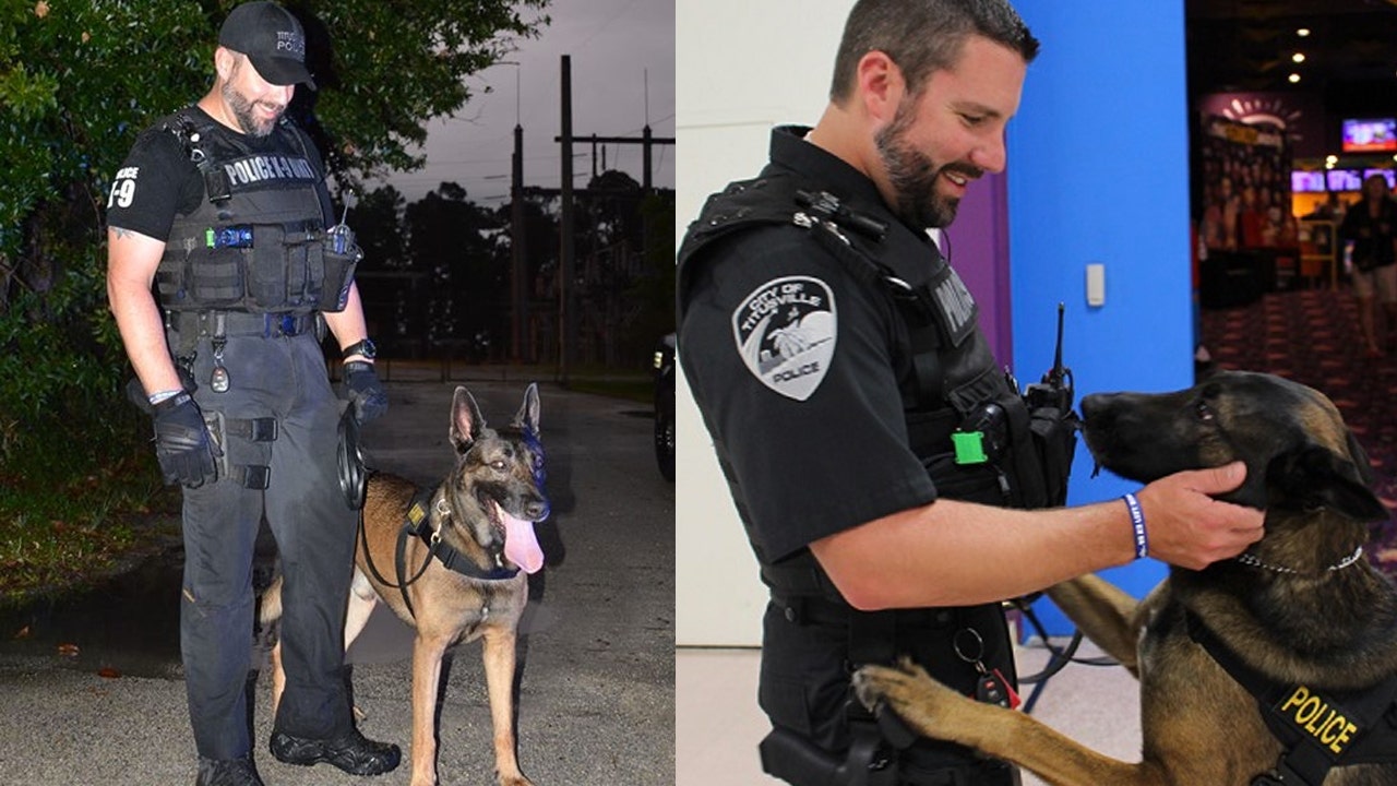 Retired Florida K9 passes away after 7 years of service | FOX 35 Orlando