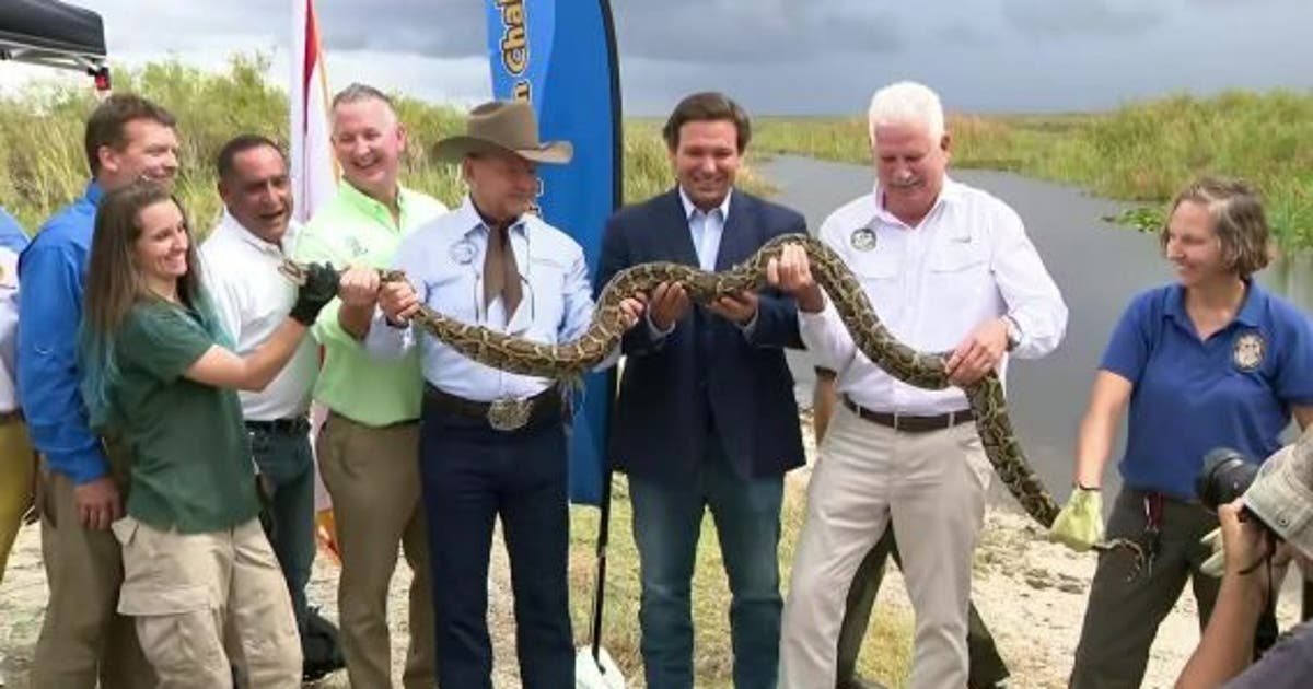 The 2021 Florida Python Challenge kicks off next month | FOX 35 Orlando