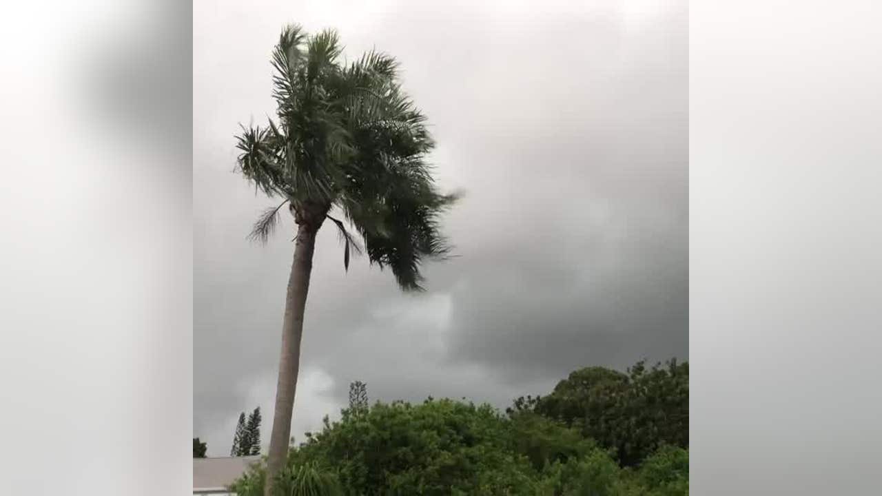 Strong winds in Port St Lucie as Tropical Storm Elsa approaches Florida