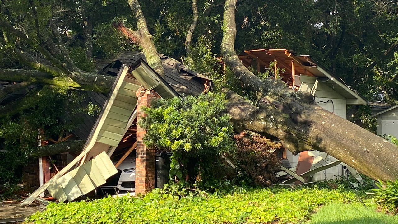 Fire officials: Several people displaced after tree falls on 2 houses ...