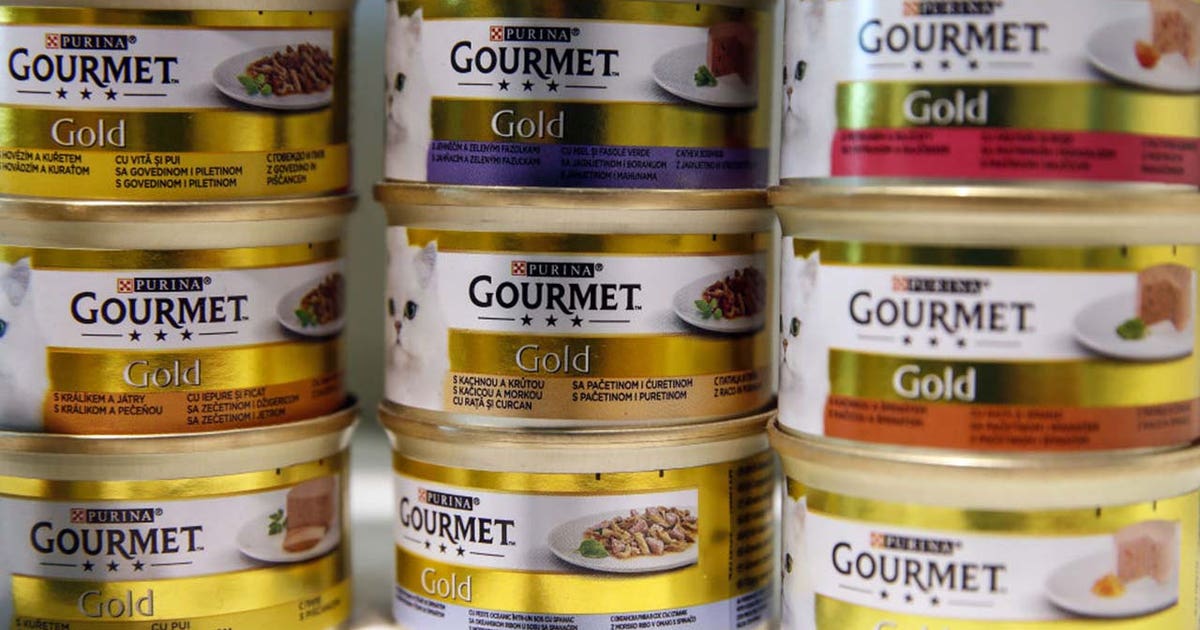 Canned pet food shortage continues amid supply chain woes | FOX 35 Orlando