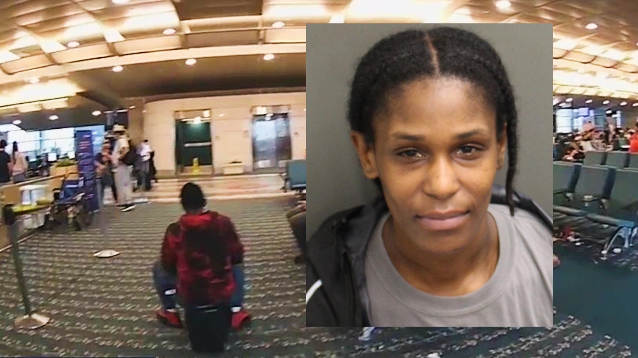 Woman who led police on motorized suitcase 'chase' at Orlando airport ...