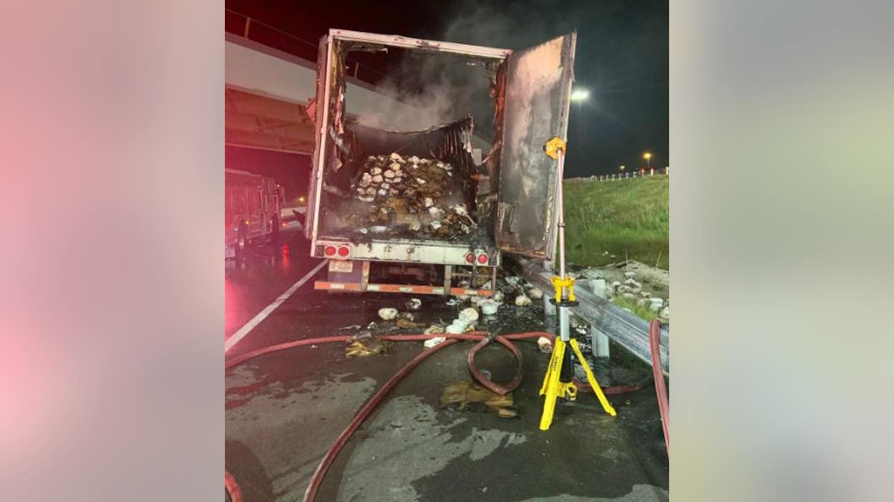 Tractor-trailer hauling 10,000 frozen turkeys catches fire on I-4 in ...