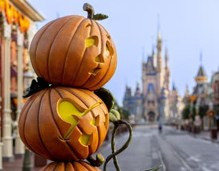 magic kingdom fall decorations