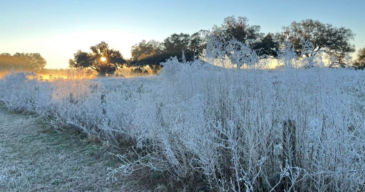 Freezing cold 'feels like' temperatures in the teens for parts of ...