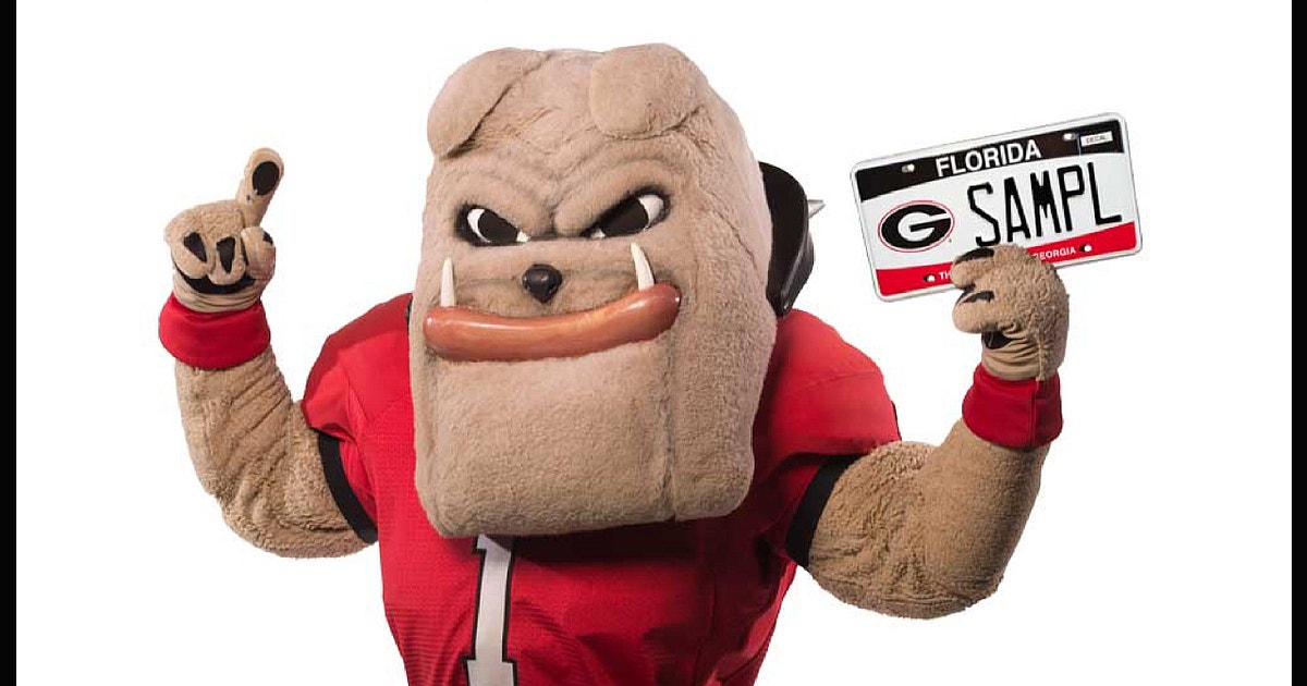 New specialty Florida license plate: University of Georgia Dawgs | FOX ...