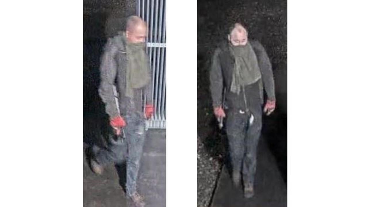 Energy Attack in Washington: Two men arrested after power grid knocked ...