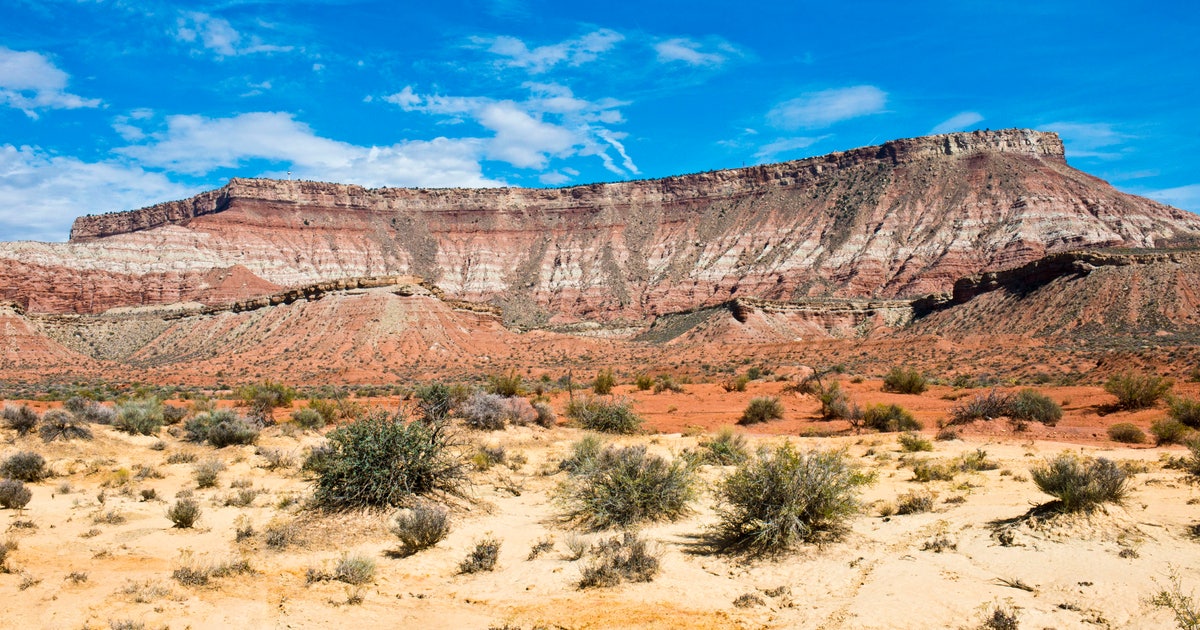 Utah teen dies after falling 150 feet while climbing near cliff, police ...