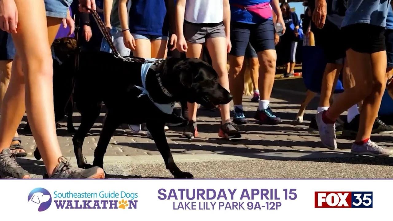 Join FOX 35 at the 2023 Southeastern Guide Dogs Walkathon | FOX 35 Orlando