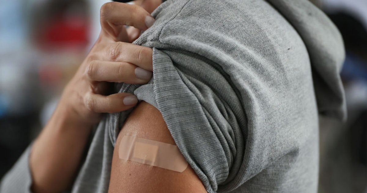 Florida Department of Health issues rabies alert in Volusia County ...