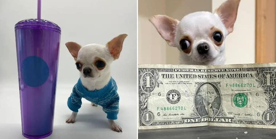 smallest dollar bill