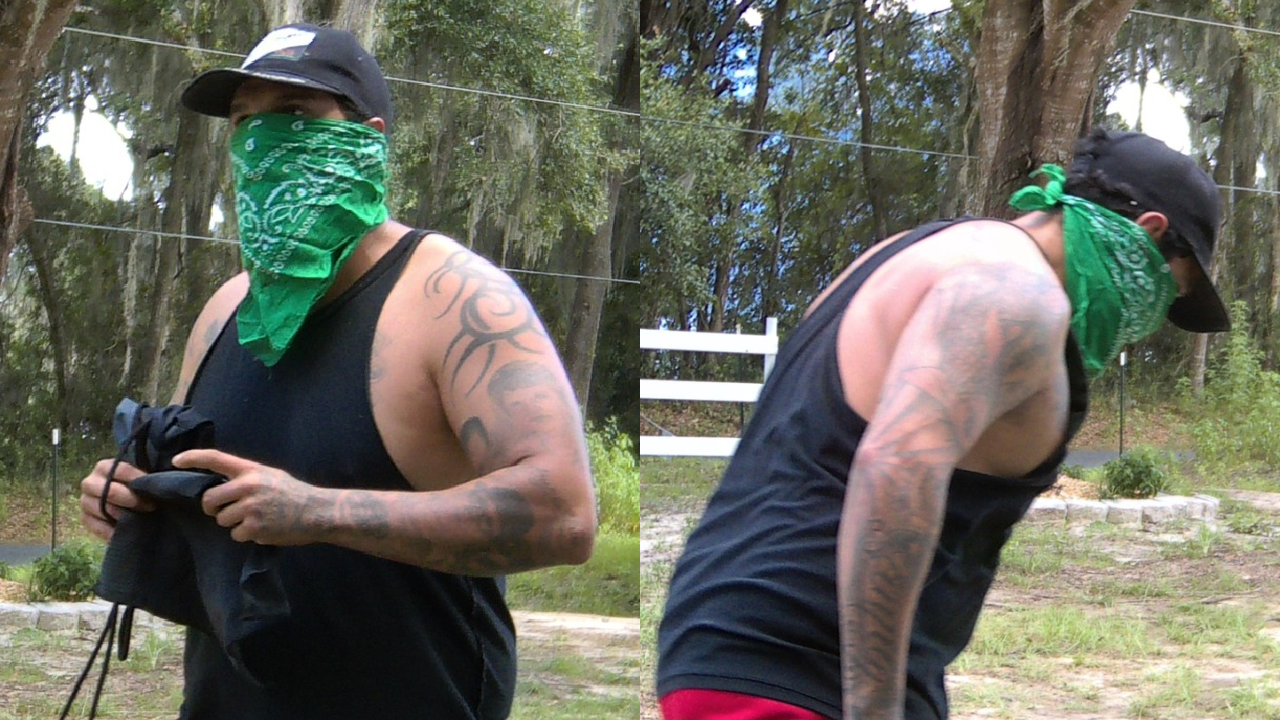 Florida deputies on the hunt for pigeon bandit: 'Please help us find ...