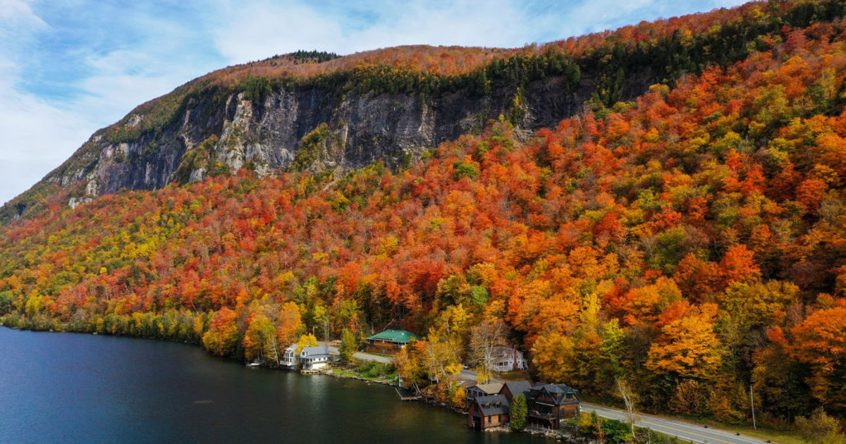 Fall foliage outlook 2023 | FOX 35 Orlando