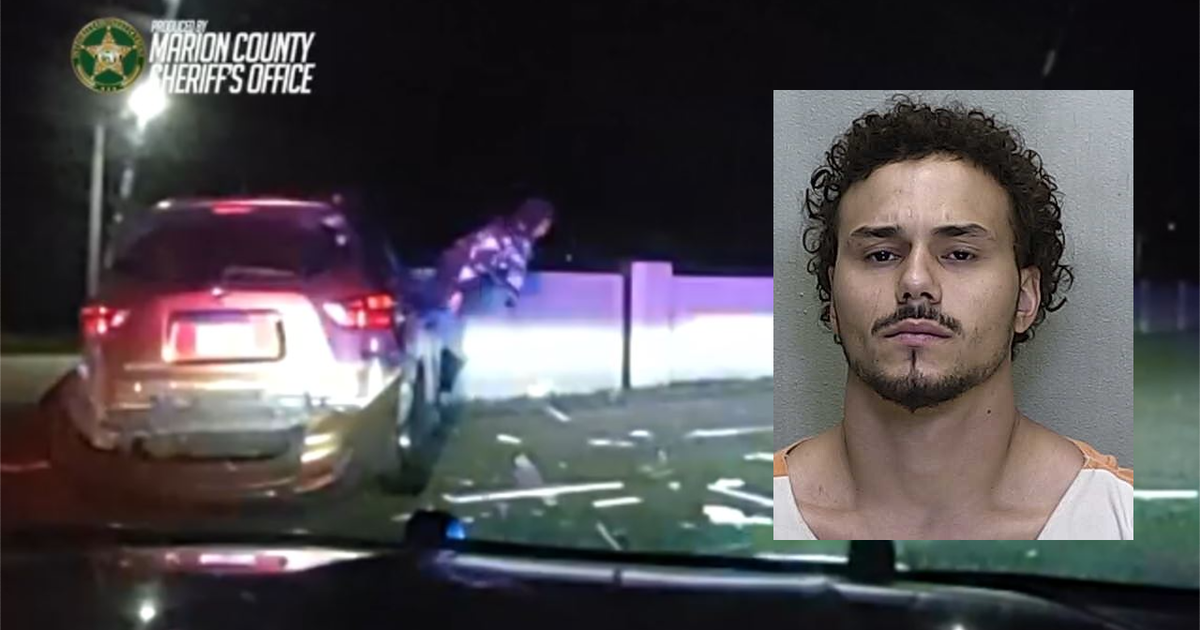 ‘High as F***’: Video shows Florida man head butt car window, flop out ...